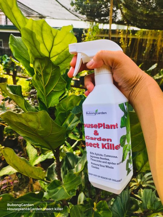 Houseplant & Garden Insect Killer | Lazada PH
