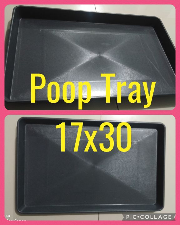 Poop Tray (matibay) Class A | Lazada PH