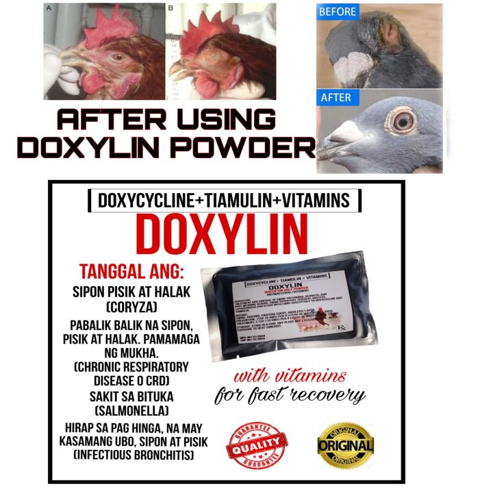 doxylin soluble powder for coryza sipon halak one eye cold | Lazada PH