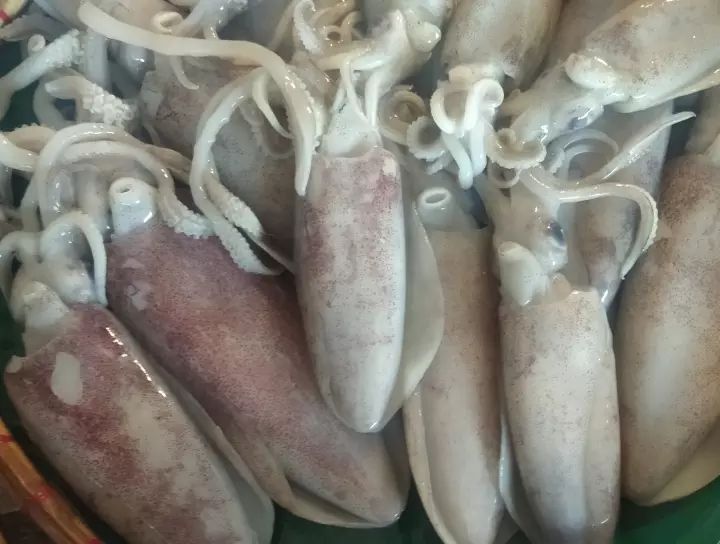 FRESH SEAFOODS SQUID ( PUSIT) 500g | Lazada PH