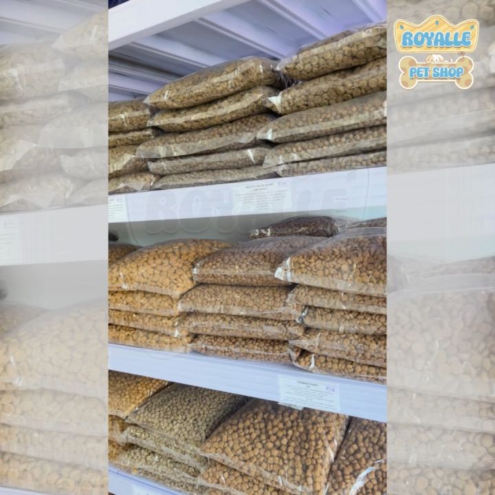 POWERCAT OCEAN TUNA 1KG | Lazada PH