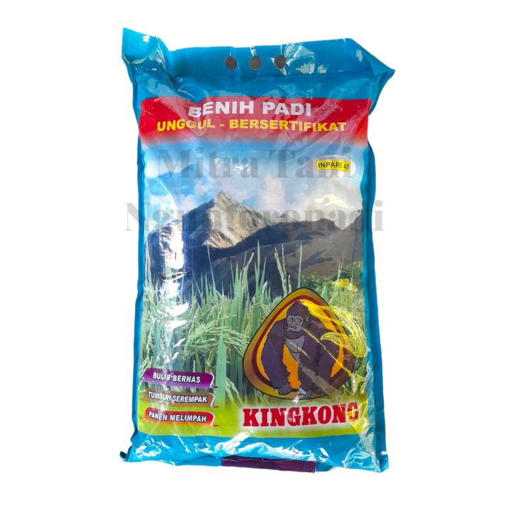 Benih Padi Unggul Inpari 48 Cap Kingkong 5Kg | Lazada Indonesia
