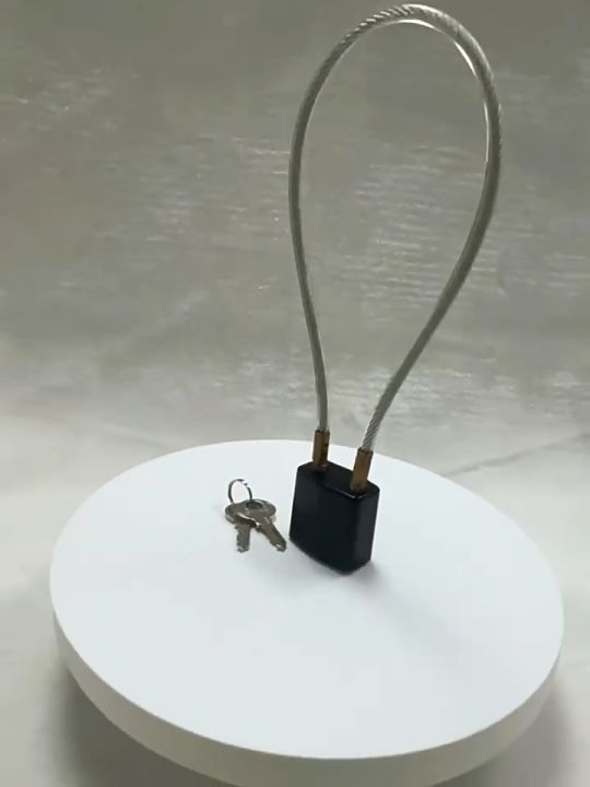 Tamper-Resistant Wire Rope Lock Set With1Pair of Padlock Cable Luggage ...