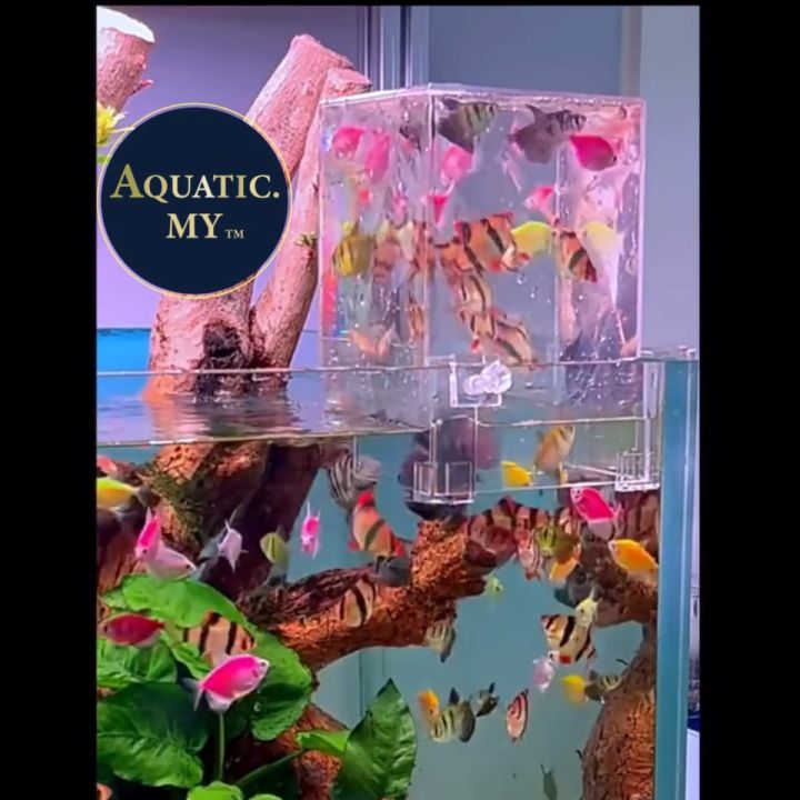 Negative Pressure Fish Tank Fish Elevator/ 鱼缸负压缸 / Tangki Ikan Tekanan ...