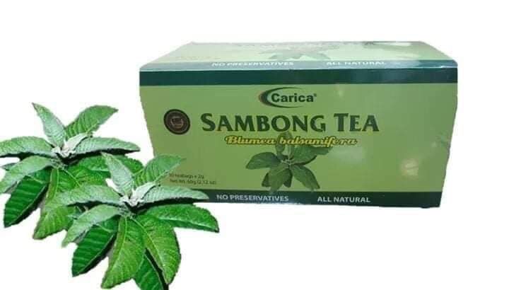 Carica Natural Organic Herbal Fruit Tea Sambong Tea 30pcs 10pcs | Lazada PH