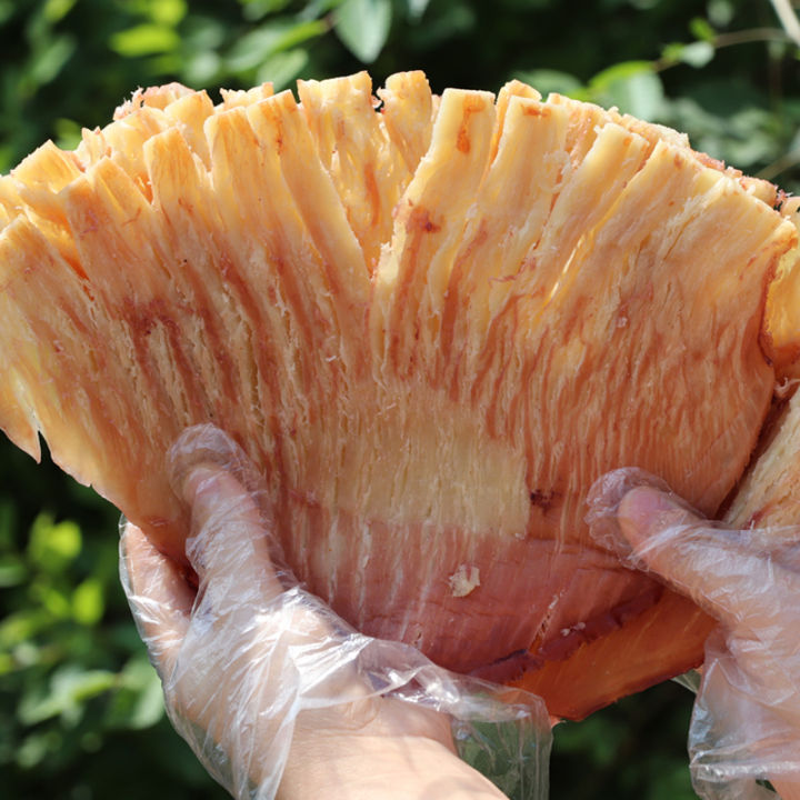 Hand-Torn Accordion Octopus Slices Ready-To-Eat Large Pack Whole Piece ...