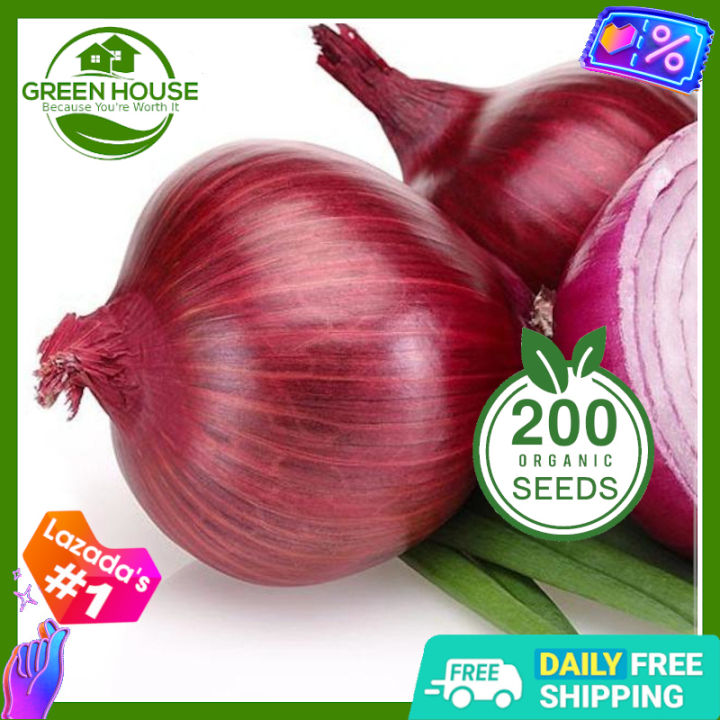 Green House® - Red Onion Seeds for Planting Vegetable Plants (+/- 200 ...