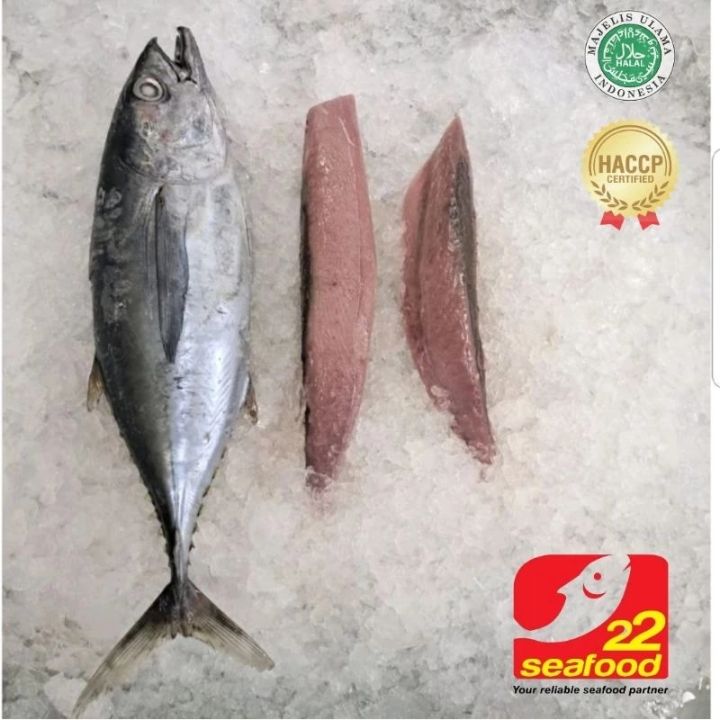 Ikan Baby Tuna Fillet 500 gram / 22 Seafood | Lazada Indonesia