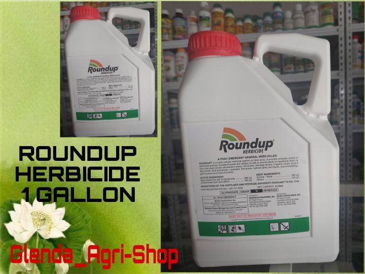 ROUNDUP HERBICIDE GLYPHOSATE Non- Selective by: Bayer (1 gallon ...