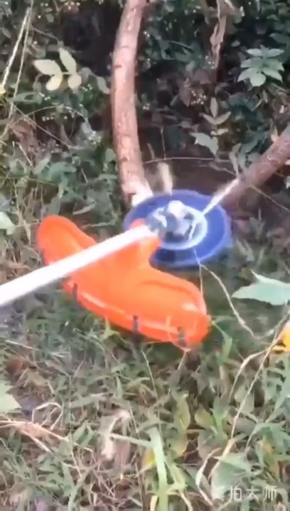 Hand Saw Spear & Jackson 4938PS FIXED BLADE PRUNING SAW Tree Pruning Saw