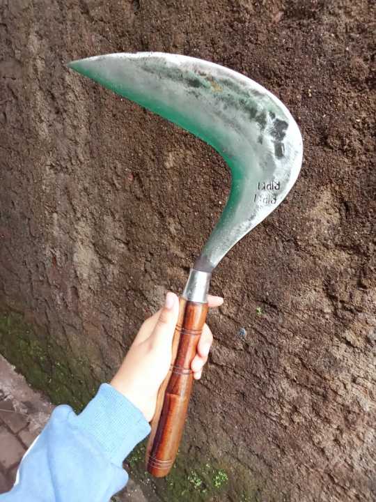 SABIT ARIT RUMPUT BABAD RUMPUT dan PADI BAHAN BAJA PER DIJAMIN ASLI 100 ...