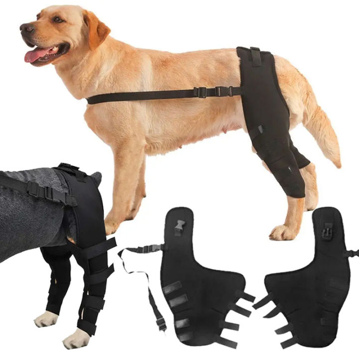 Dog Knee Brace For Back Leg Injuries Leg Support Adjustable Dog Hip ...