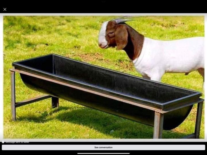 Goat feeder, feeder for goats feeder, pakainan ng kambing | Lazada PH