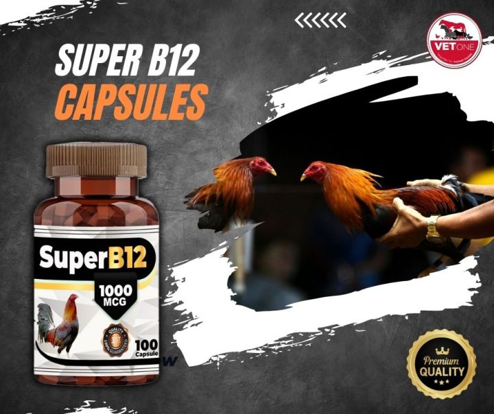2 Bottles Super B12 capsules Promo for animal use only | Lazada PH