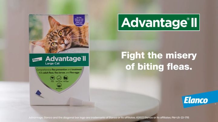 Elanco Advantage Cat Spot On - S (0.4ml x 4 pipet) / M (0.8ml x 4 pipet ...