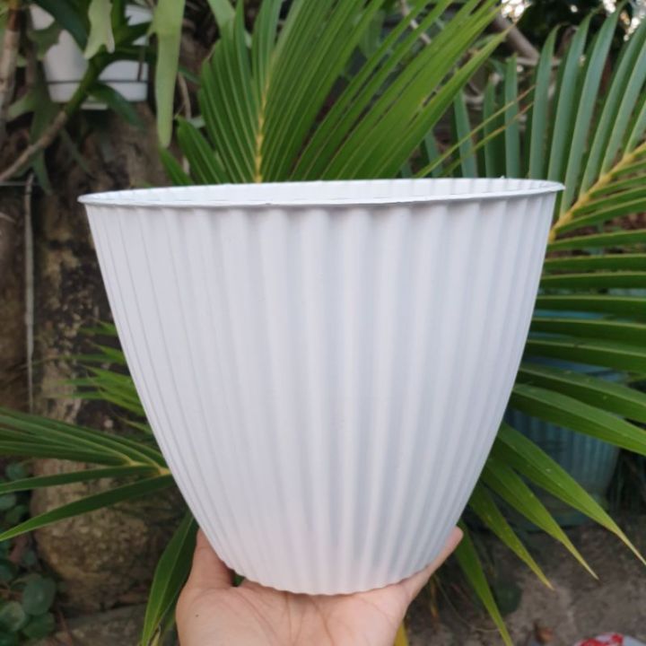 POT BUNGA KERANG UK 22 SP pot bunga cantik unik tebal bagus murah ...