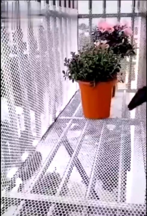 【50/100cm】 Plastic Safety Net Balcony Railing Mesh Protection Net PVC ...