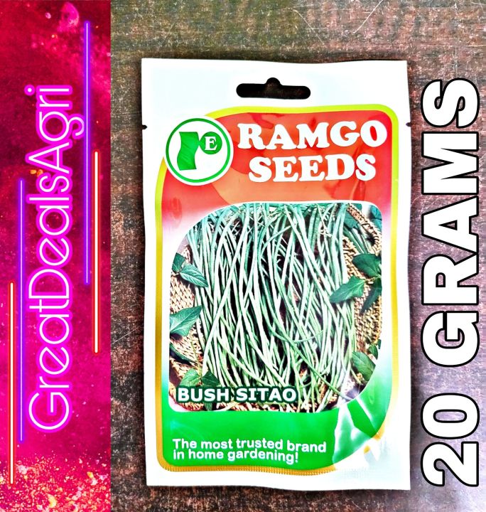 BUSH SITAO SEEDS BRUTUS (20 GRAMS) RAMGO SEEDS | Lazada PH