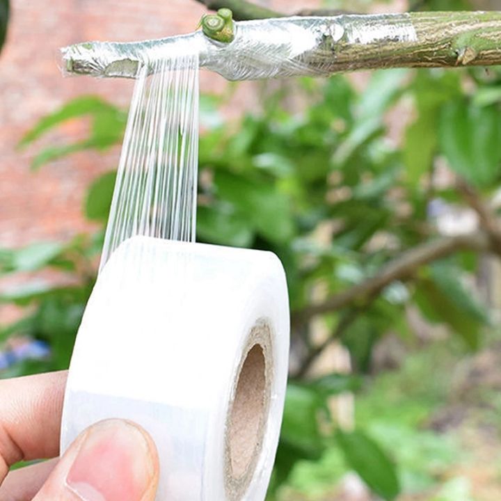 1/3/5Roll 3cm*200M Tape Seedle Garden Parafilm Graft Budding Plant ...