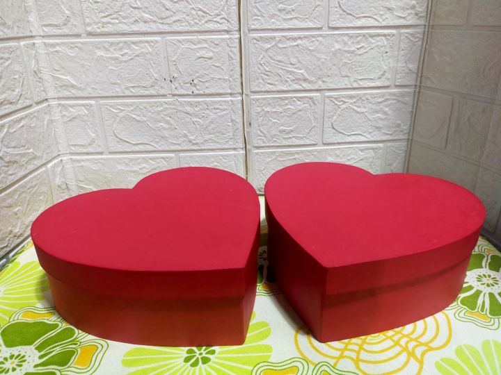 HardBox Heart Shape | Lazada PH