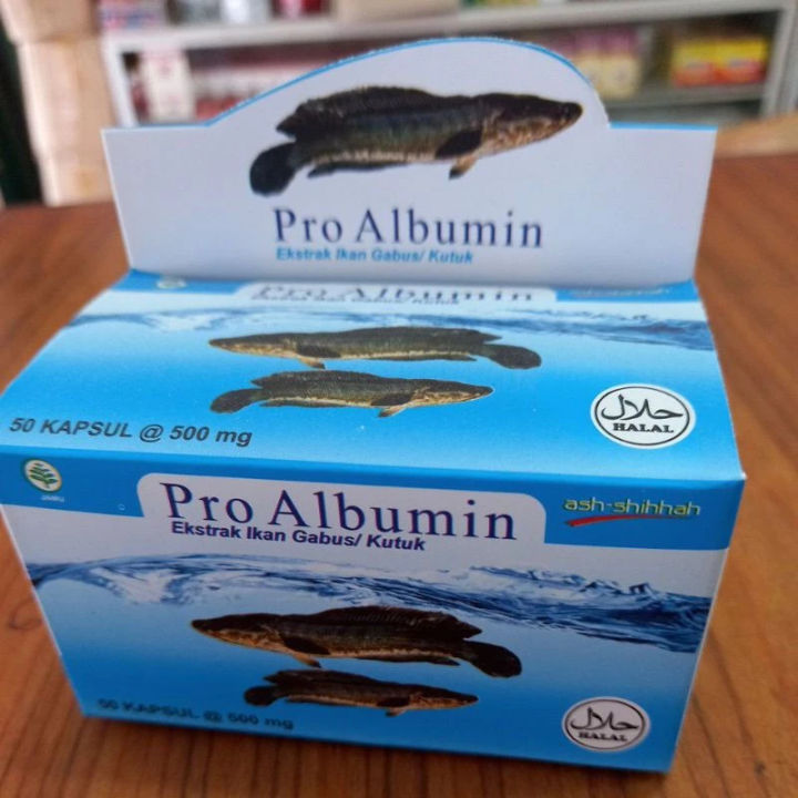 PVJ- Pro Albumin (Ekstrak Ikan Gabus/Kutuk) 50 kapsul | Lazada Indonesia