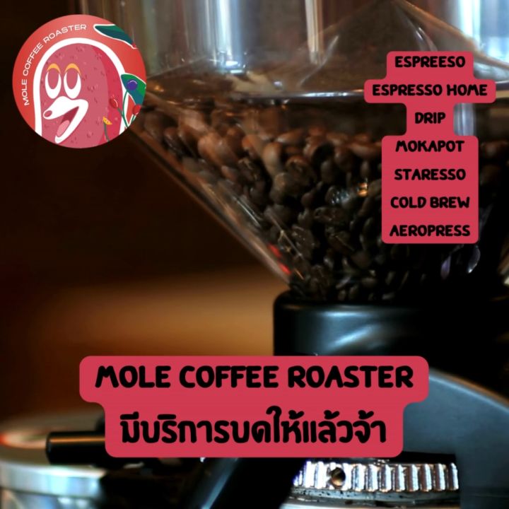 Mole Coffee : เมล็ดกาแฟคั่ว โรบัสต้า พรีเมียม เวียดนาม บดฟรี ส่งไว ...