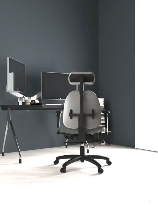 Progress Health Ergonomic OrthoSeries IV Premium Orthoback Chair ...