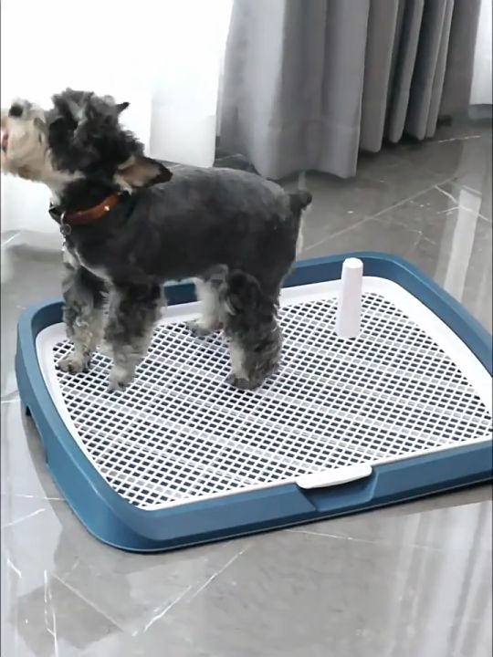 Dog Training Potty Pad With Stand Extra Large Size Pet Training Trays ...