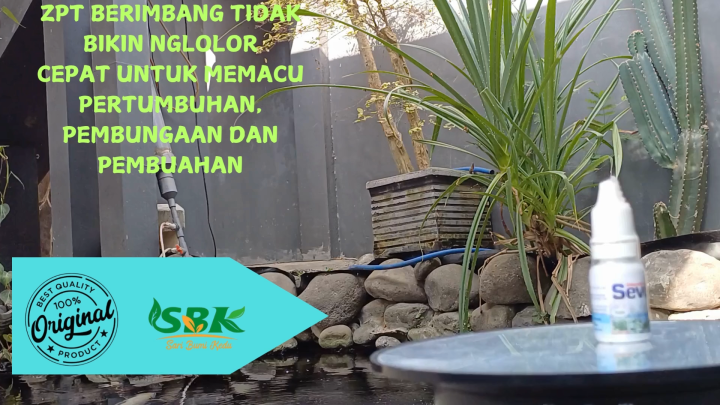 Seven Pupuk Booster Hormon Zpt perangsang bunga dan pelebat buah Pertumbuhan Akar, Daun, Bunga ...