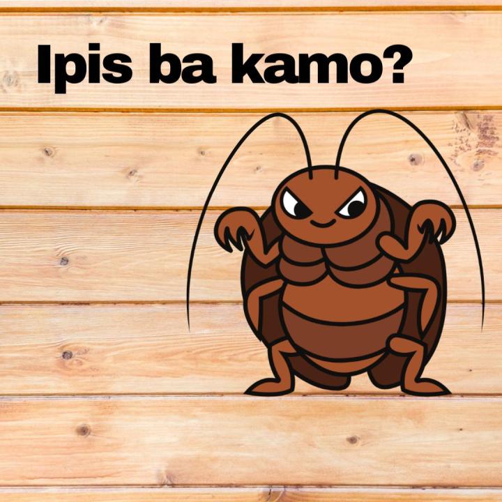 Syringe Applicator Cockroach Gel Bait - Effective Roach Killer for ...