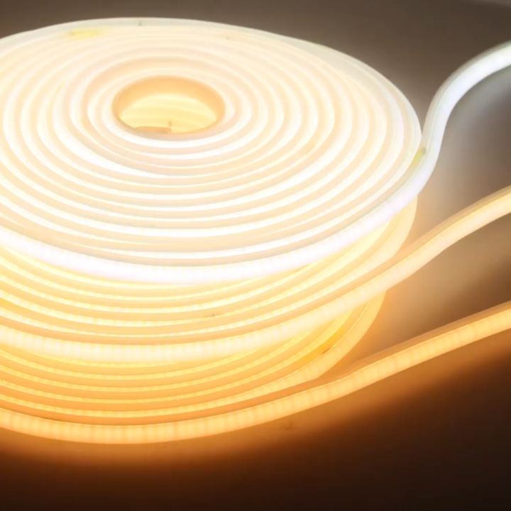 Hunta 220V Waterproof Outdoor COB Light Strip With Plug, High-voltage ...