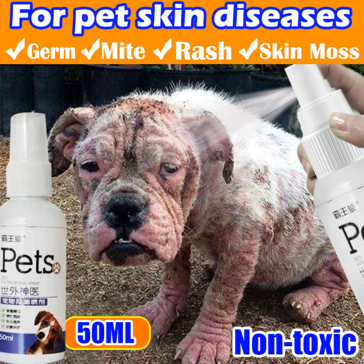 Pet skin treatment spray Pet skin care Antibacterial spray Cats and ...
