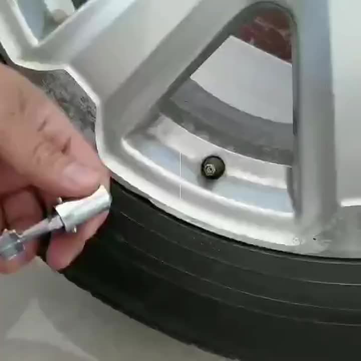 Vehicle Air Pump Extended Inflatable Tube Deflatable Function ...