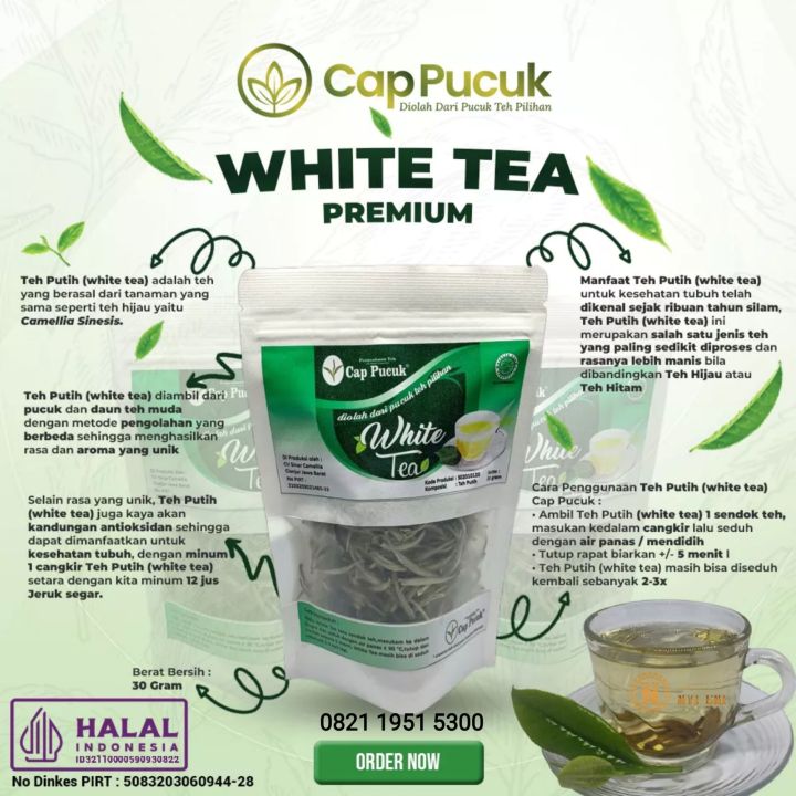 Teh Putih cap pucuk / white tea cap pucuk | Lazada Indonesia
