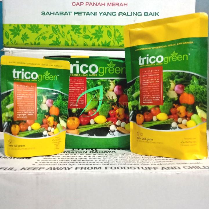 Biofungisida Bakteri Trichoderma TRICOGREEN untuk mencegah layu ...