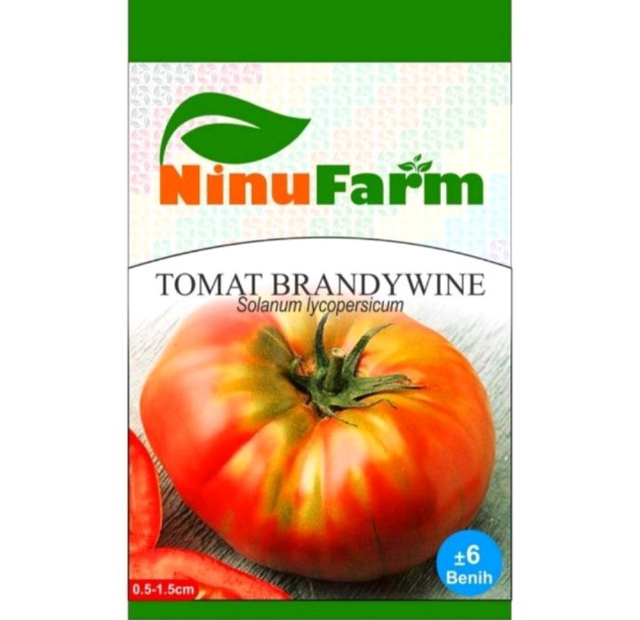 BENIH TOMAT BRANDYWINE / BIJI TOMAT MERAH BESAR | Lazada Indonesia