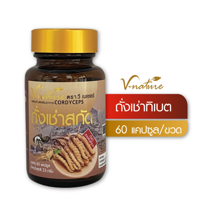 ถั่งเช่าทิเบตสกัด ถั่งเช่า บำรุงสุขภาพ 60 แคปซูล VNATURE วีเนเชอร์ ถั่ง ...