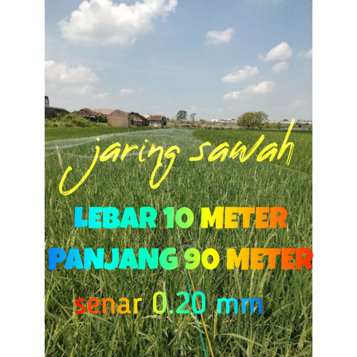 jaring burung jaring sawah senar tebal 0.20 lebih awet & kuat panjang ...
