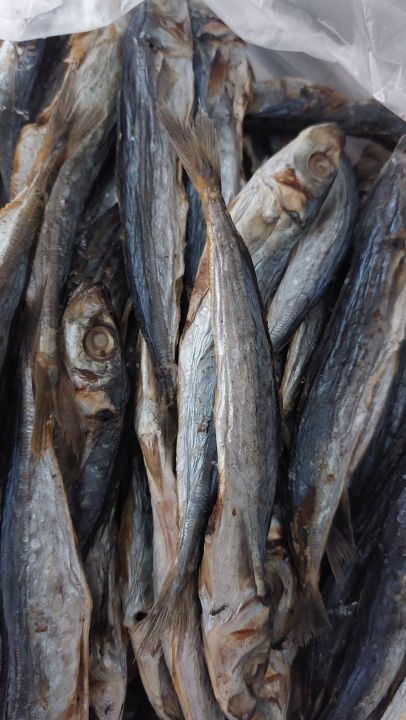 Vacuumed Tuyong Galunggong (1kg) | Lazada PH