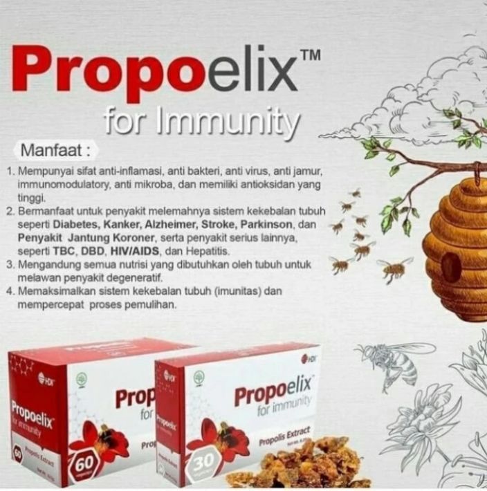 propoelix for immunity 60 kapsul ori exp 2027 | Lazada Indonesia