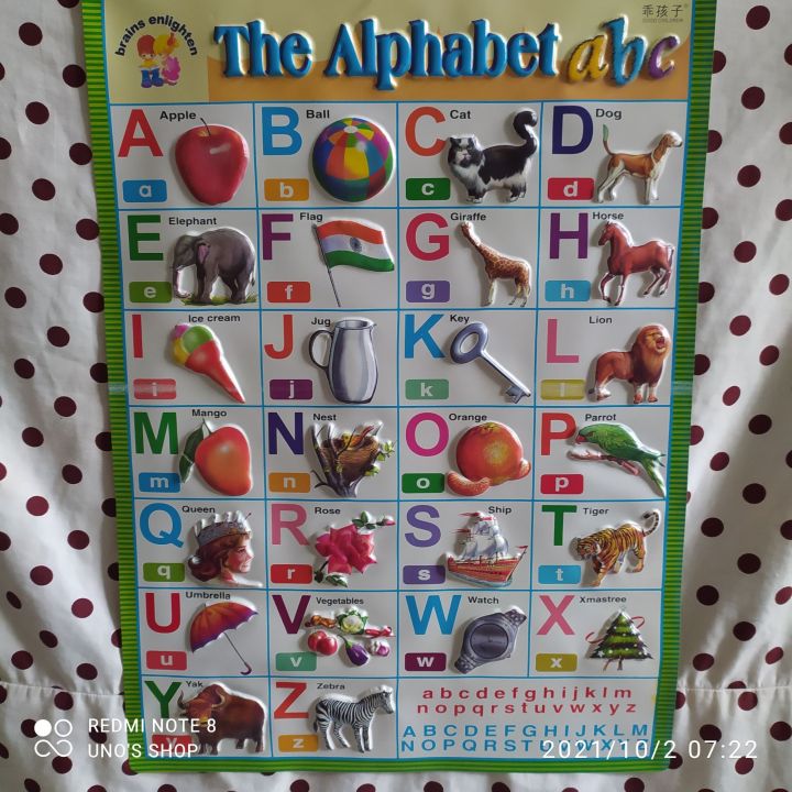 EDucational plastic wall chart embossed ABC, NUMBERS, ANIMALS AND PARTS ...
