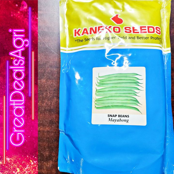 MAYABONG SNAP BEANS (KILO) KANEKO SEEDS | Lazada PH