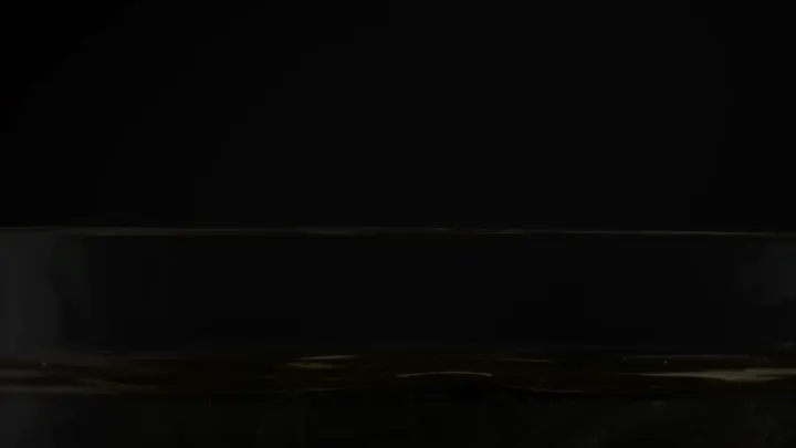 Renmaz Constant Temperature Wine Cooler [New Models, CE Certified, UK ...