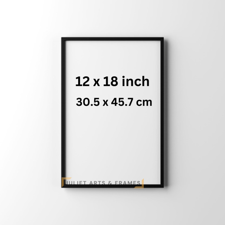 12 x 18 inch DIRECT FRAME - WALL DECOR (HALF INCH FRAMES) | Lazada PH