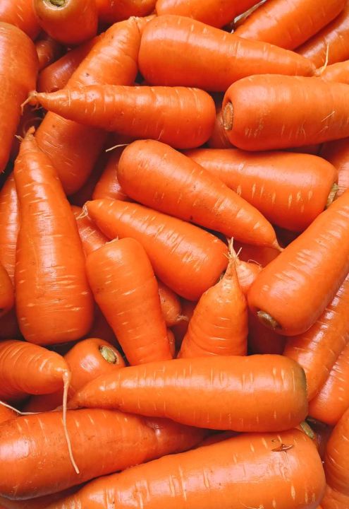 CARROTS FRESH FROM BENGUET | Lazada PH
