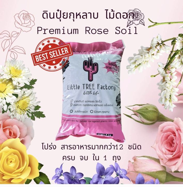 Little TREE Factory ดินกุหลาบ ดินปลูกกุหลาบ กุหลาบ ไม้ดอก ดอกกุหลาบ ...