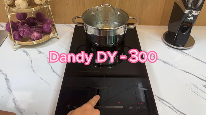 Bếp từ đôi Dandy Domino DY 300 | Lazada.vn