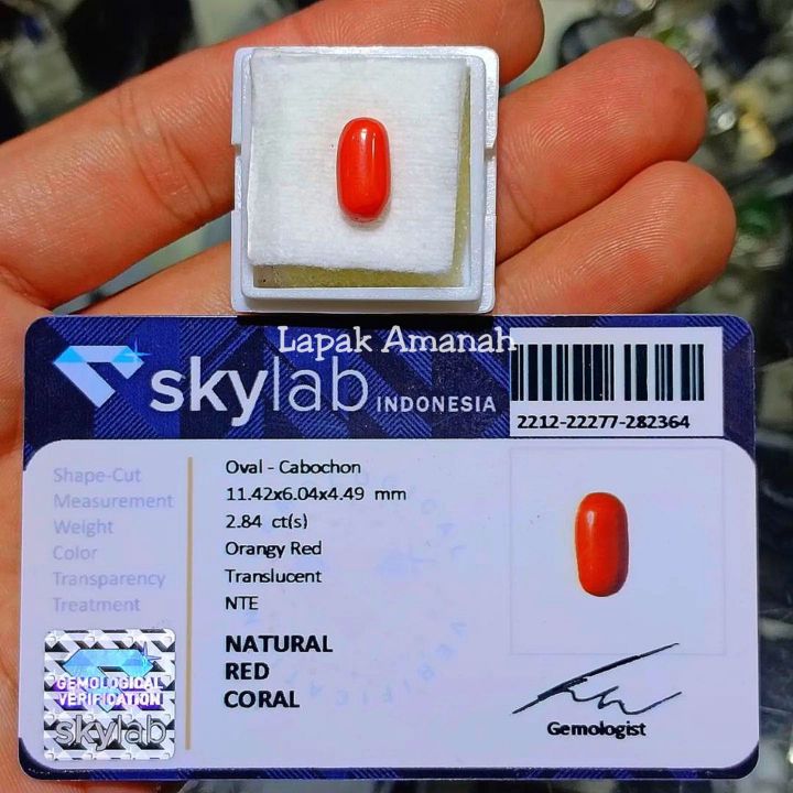Batu Akik Natural Red Marjan Asli Original Red Coral | Lazada Indonesia