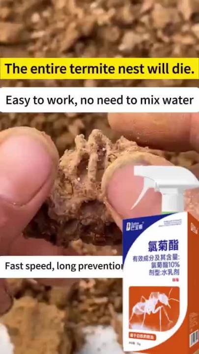 🐜99.99% Effective🐜 termites killer spray 500ML Safe, non-toxic and ...