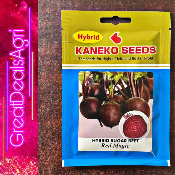 RED MAGIC F1 HYBRID SUGAR BEET SEEDS (5 GRAMS) KANEKO | Lazada PH